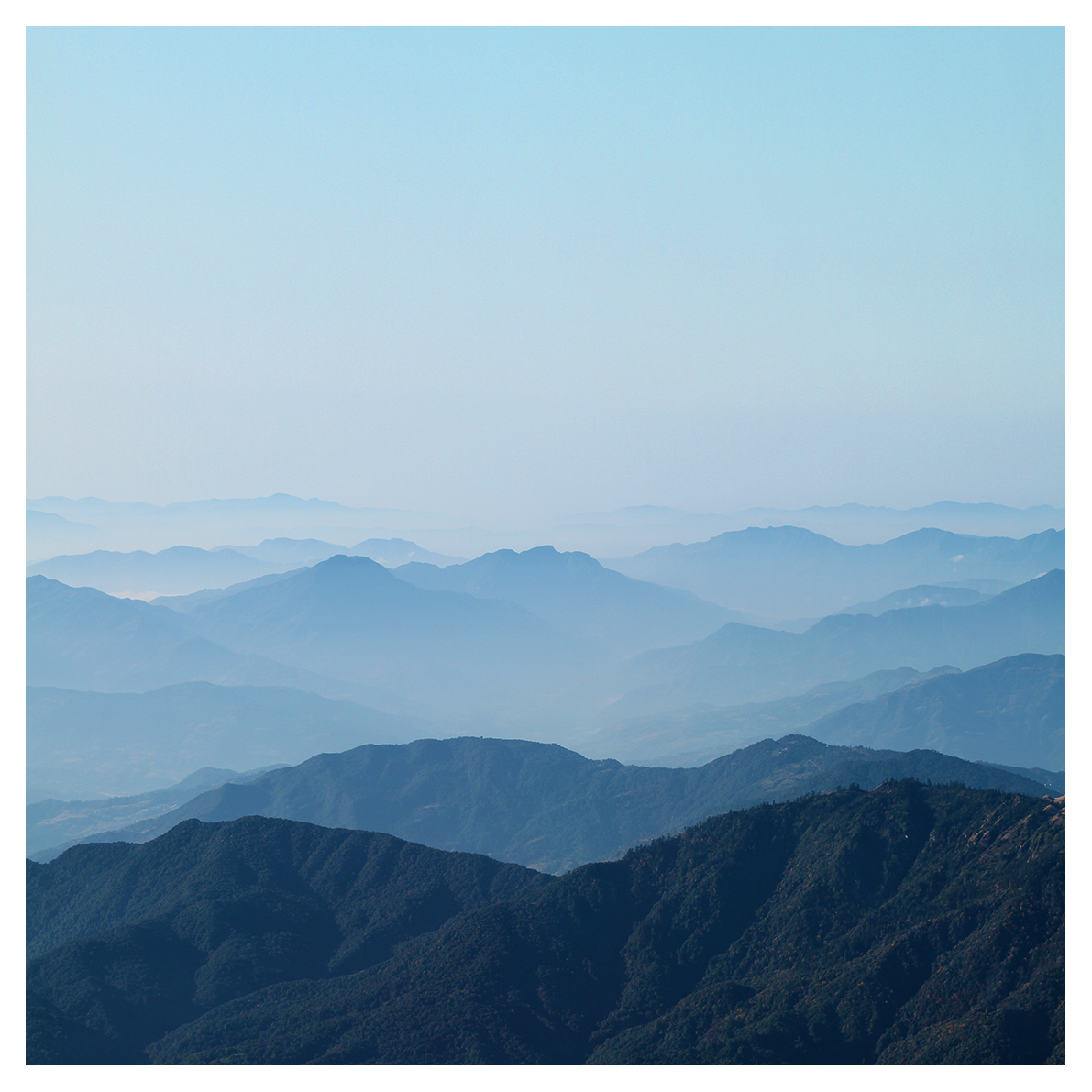 RISE | MURRAY HILTON