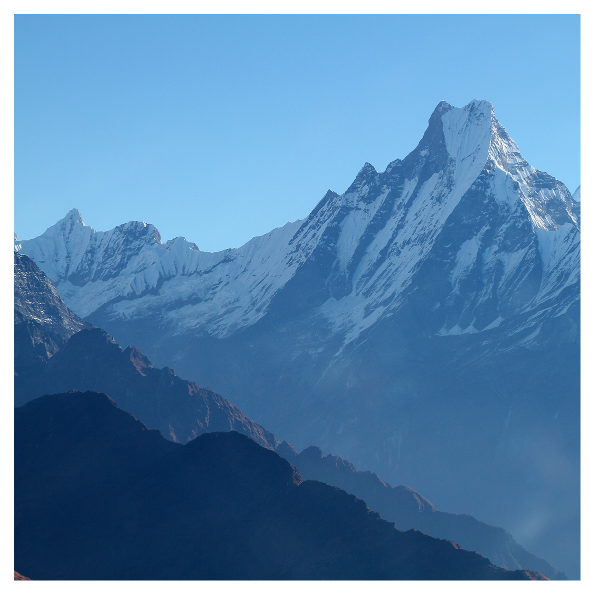 RISE | MURRAY HILTON